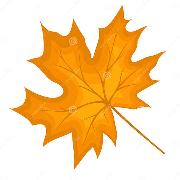 Maple Fall Leaf stock vector. Illustration of color - 259360726