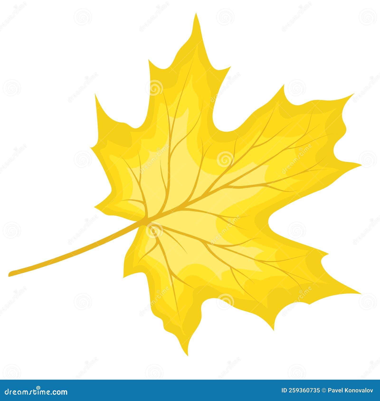 Maple Fall Leaf stock vector. Illustration of natural - 259360735