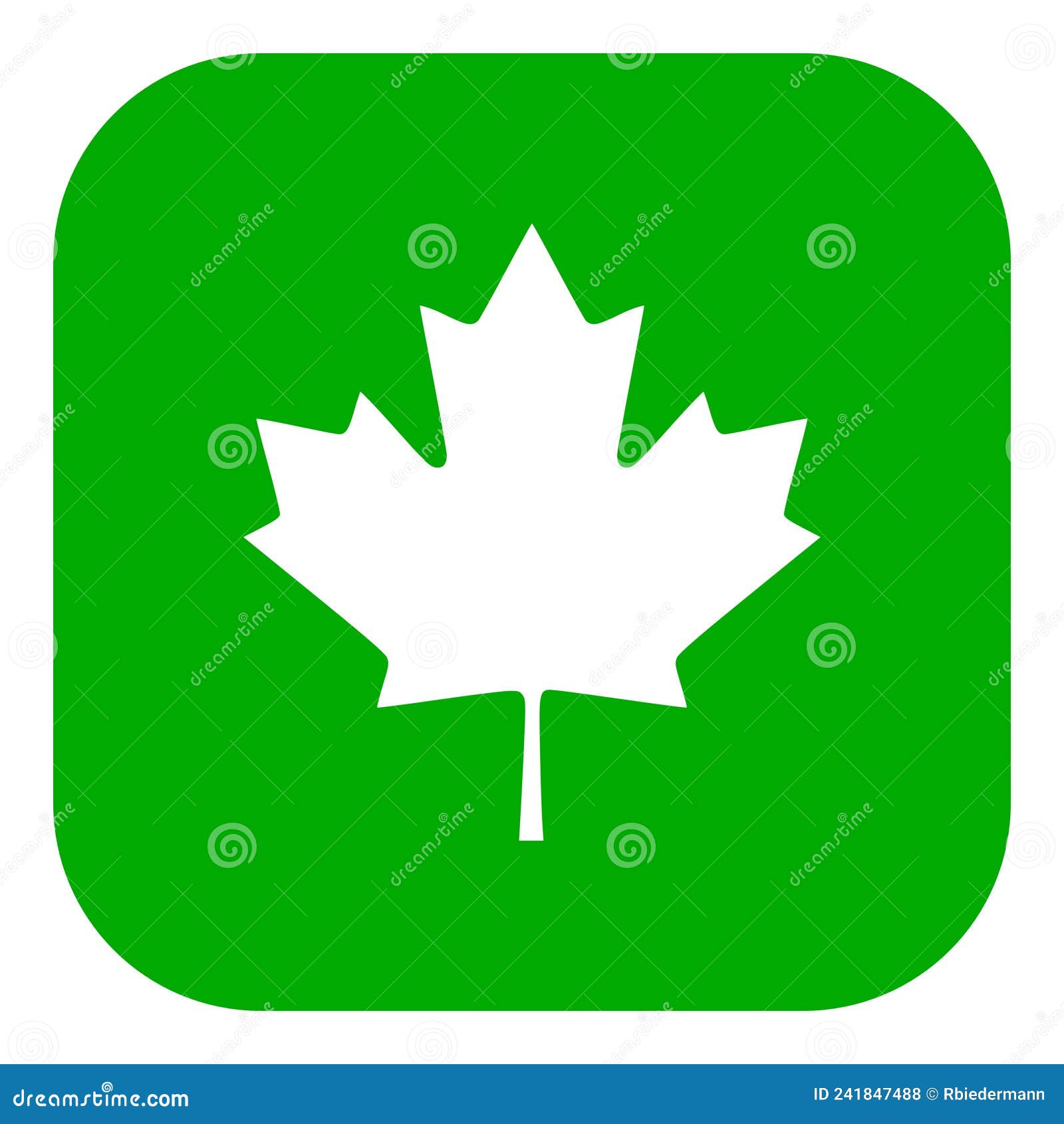 Maple leaf and app icon stock vector. Illustration of vector - 241847488