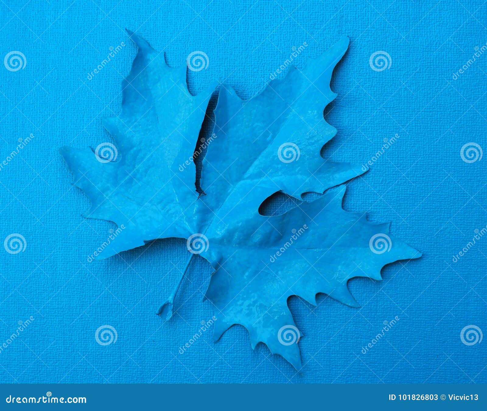 Maple leaf blue stock image. Image of fall, graphic - 101826803