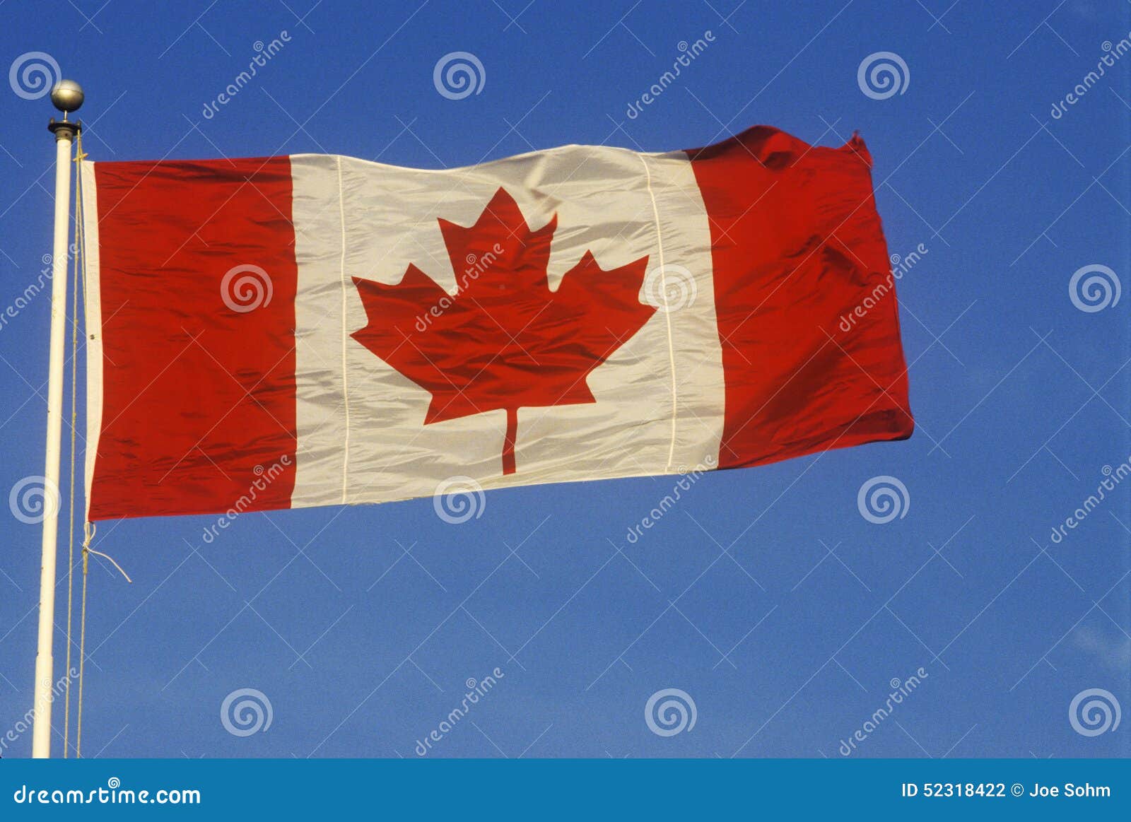 Maple Leaf Canadian Flag stock photo. Image of leaf, government - 52318422