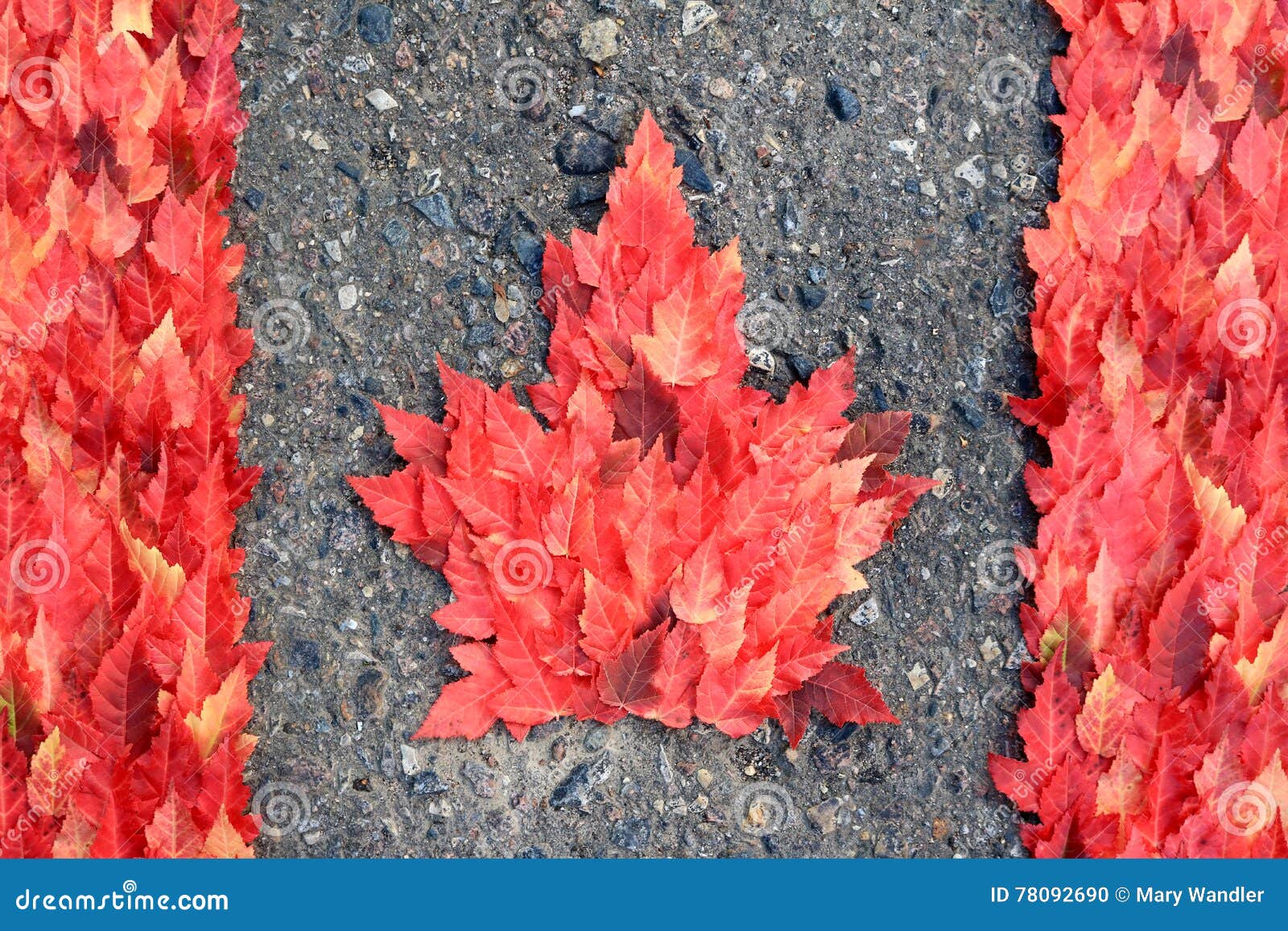 Maple Leaf Canadian Flag stock photo. Image of replica - 78092690
