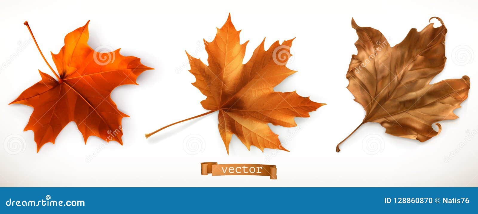 Maple Leaf. 3d Vector Icons Stock Vector - Illustration of design ...