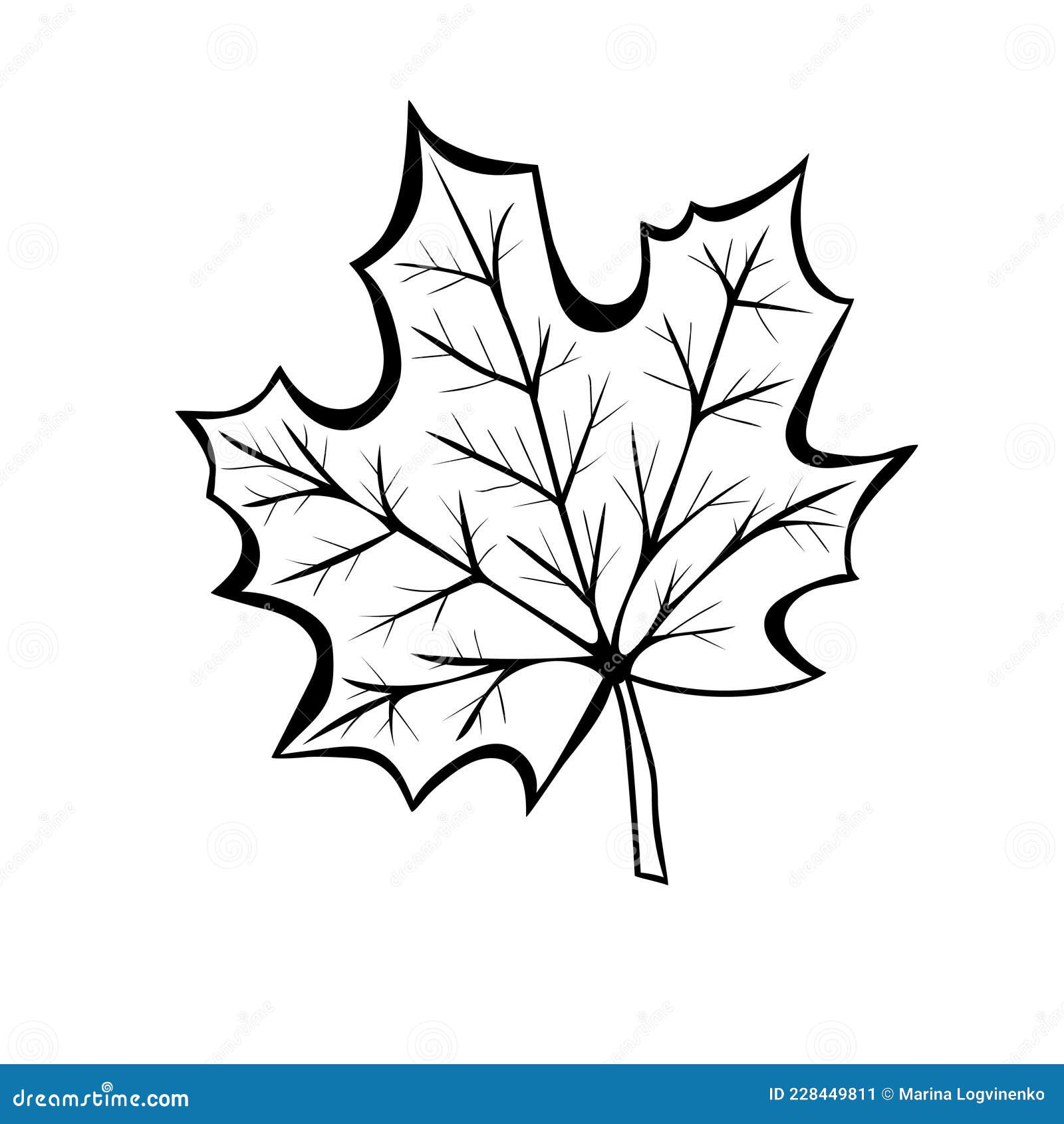 Maple Leaf in Doodle Style. Botanical Drawing. Element for Cards ...