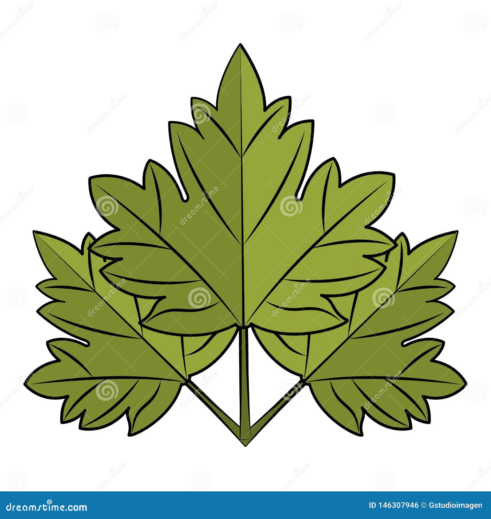 Maple leaf emblem icon stock illustration. Illustration of symbol ...