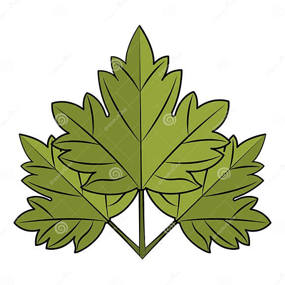 Maple leaf emblem icon stock illustration. Illustration of symbol ...
