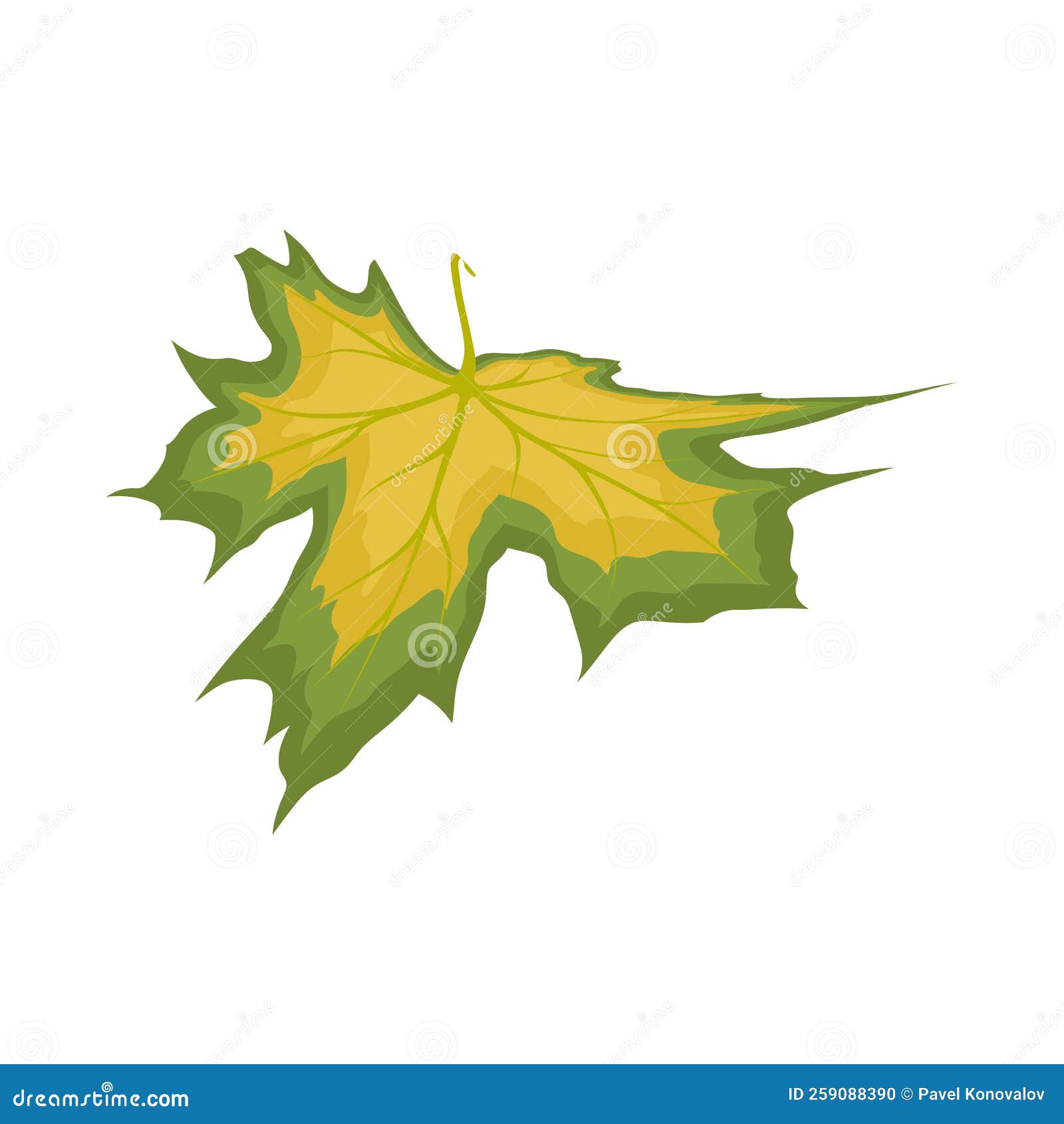 Maple Leaf stock vector. Illustration of autumn, foliage - 259088390