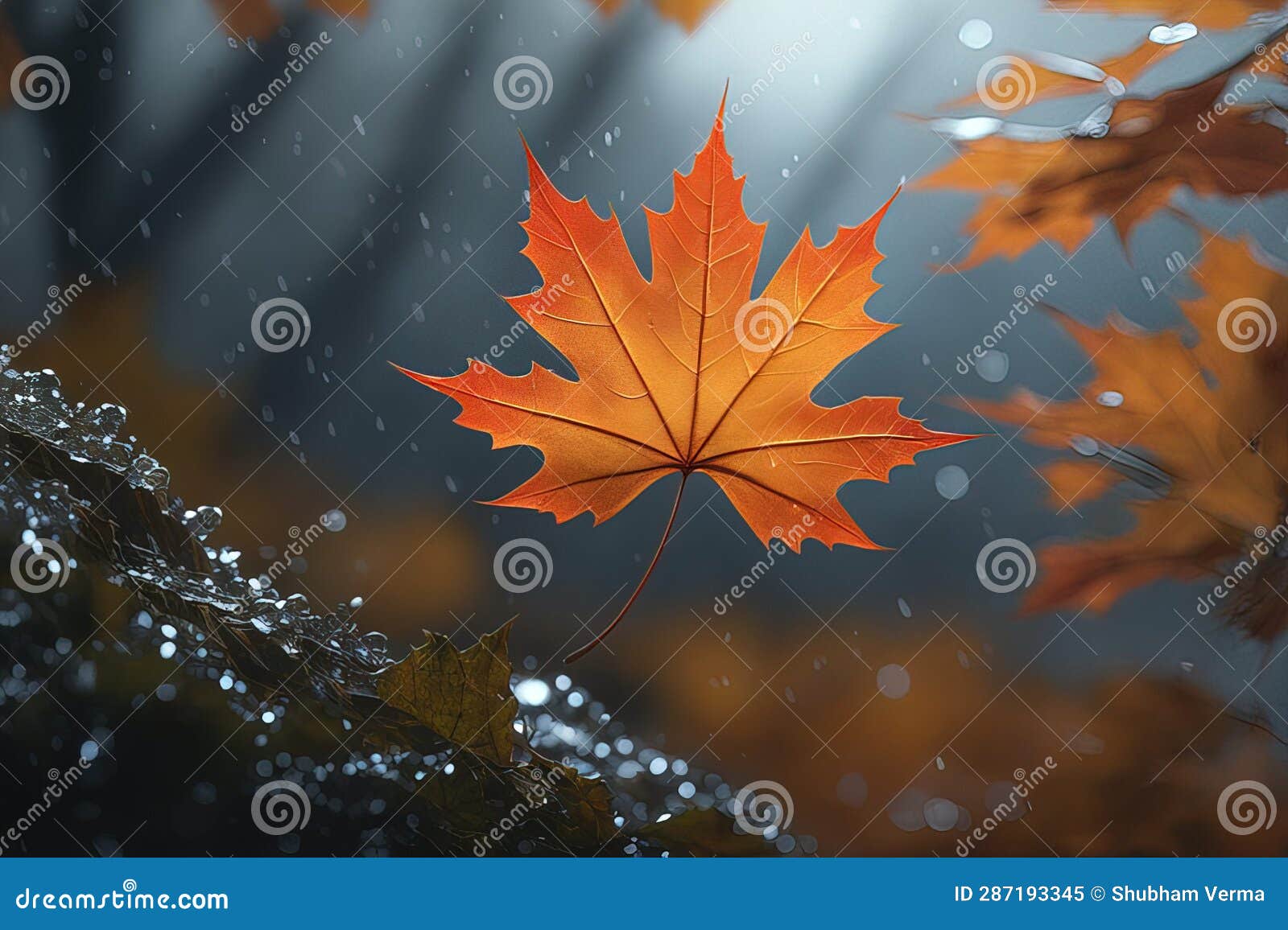 Maple Leaf Falling in Autumn Season Stock Illustration - Illustration ...