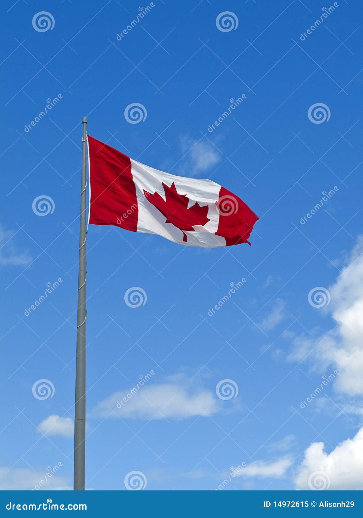 Maple Leaf Flag stock image. Image of symbol, pride, leaf - 14972615