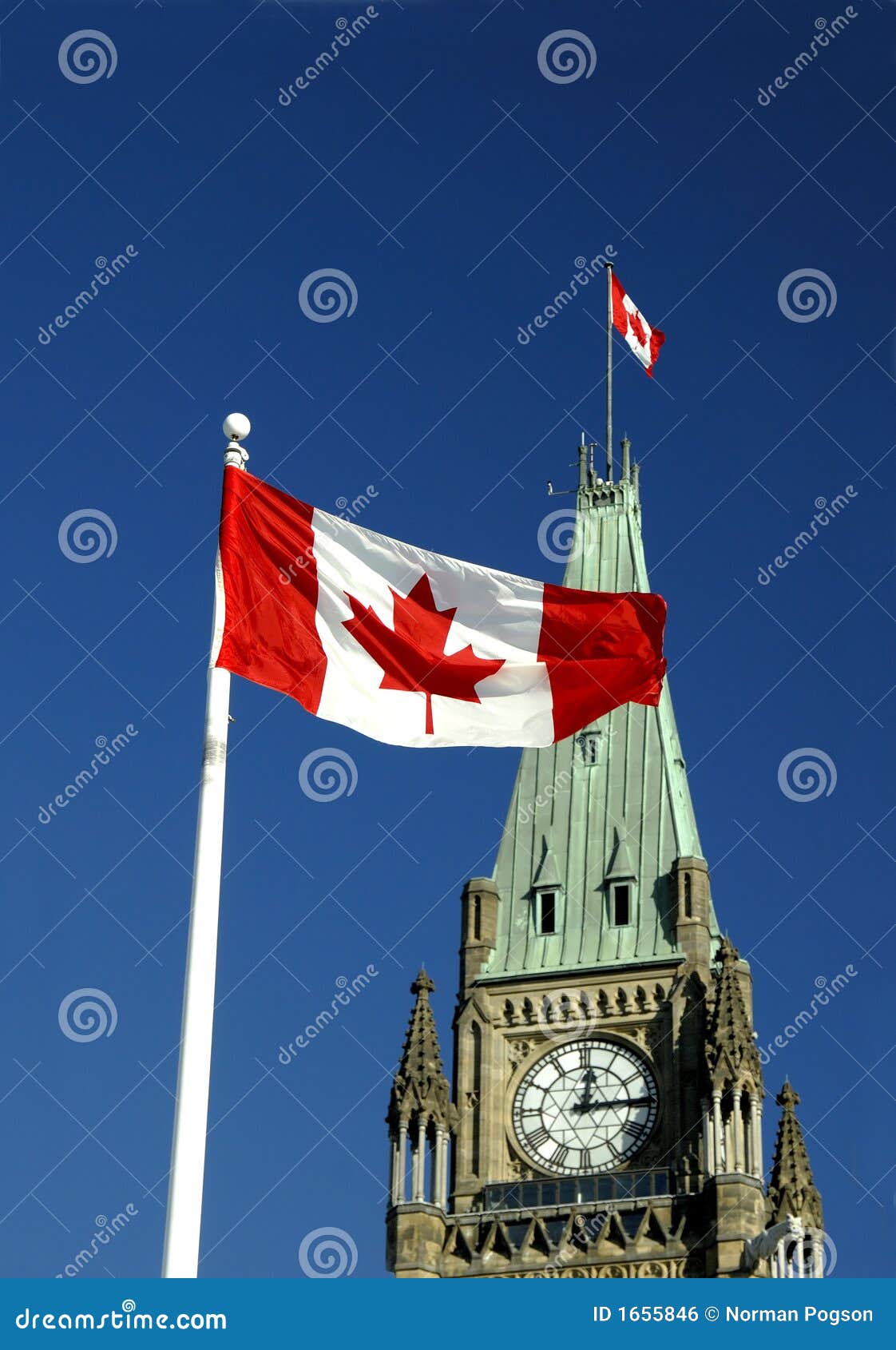 Maple Leaf Flag stock photo. Image of government, leaf - 1655846