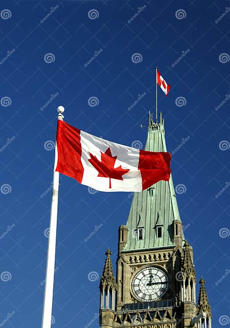 Maple Leaf Flag stock photo. Image of government, leaf - 1655846