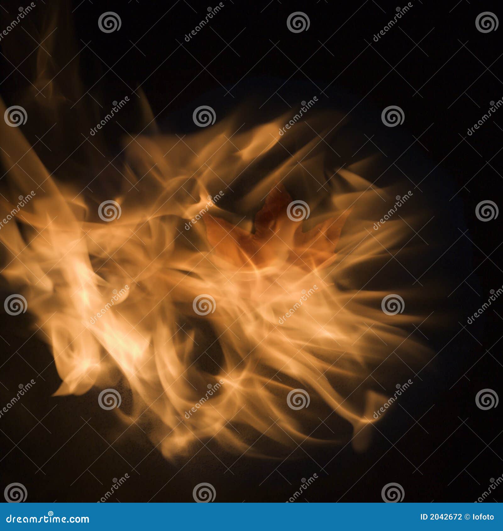 Maple leaf in flames. stock photo. Image of nature, burn - 2042672