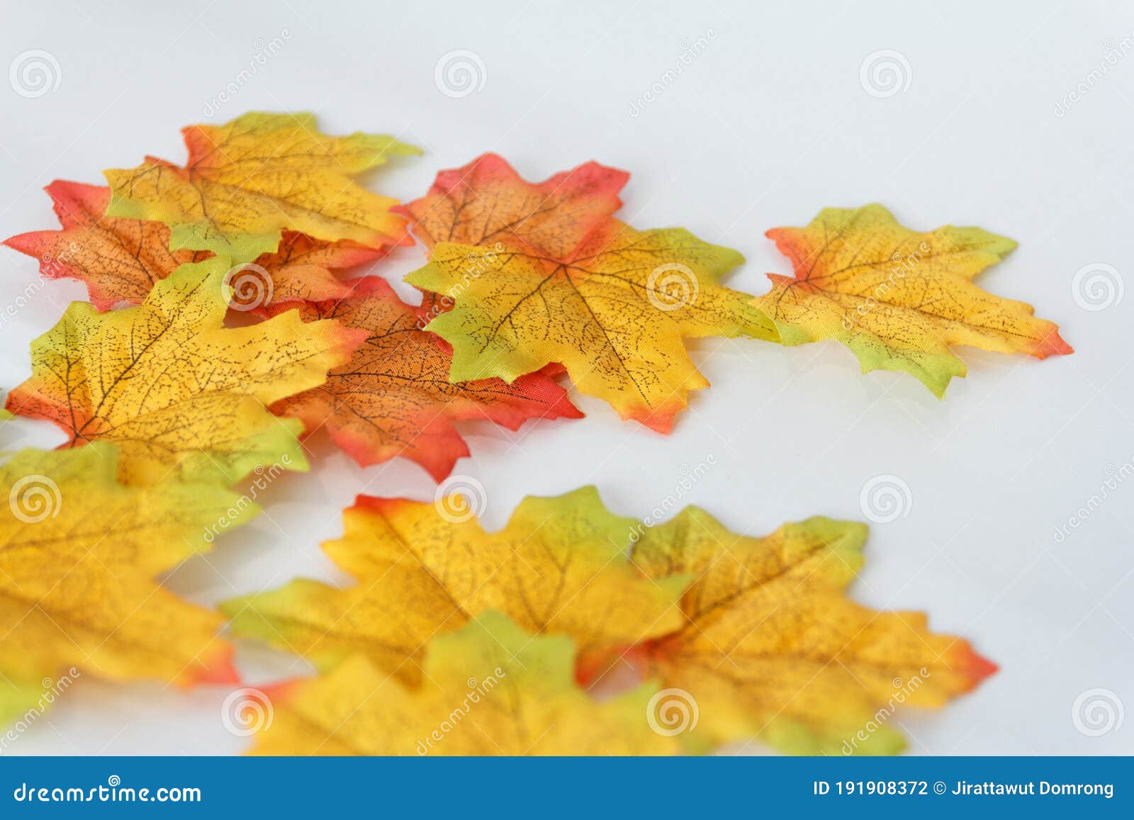 Maple Leaf and Free Space for Text with White Background Stock Photo ...
