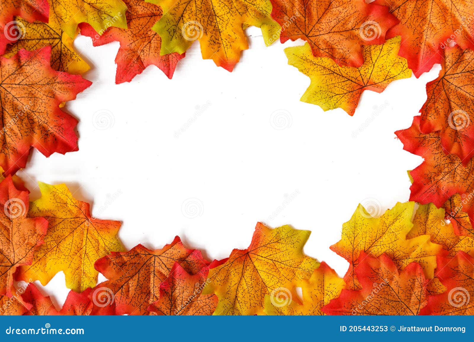 Maple Leaf and Free Space for Text with White Background Stock Image ...