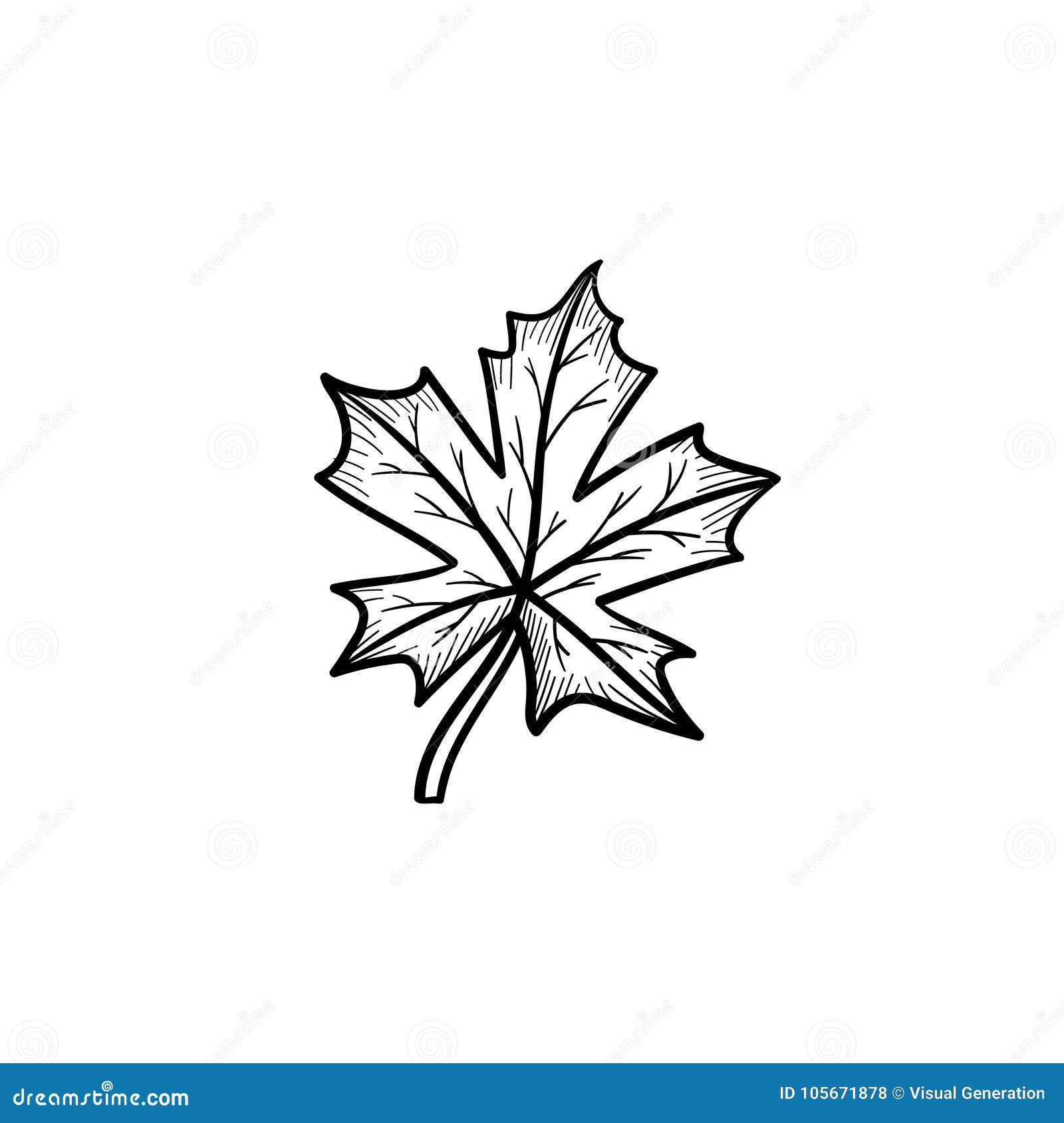 Maple Leaf Hand Drawn Sketch Icon. Stock Vector - Illustration of ... Maple Leaf Hand Drawn Sketch Icon. Stock Vector - Illustration of ...