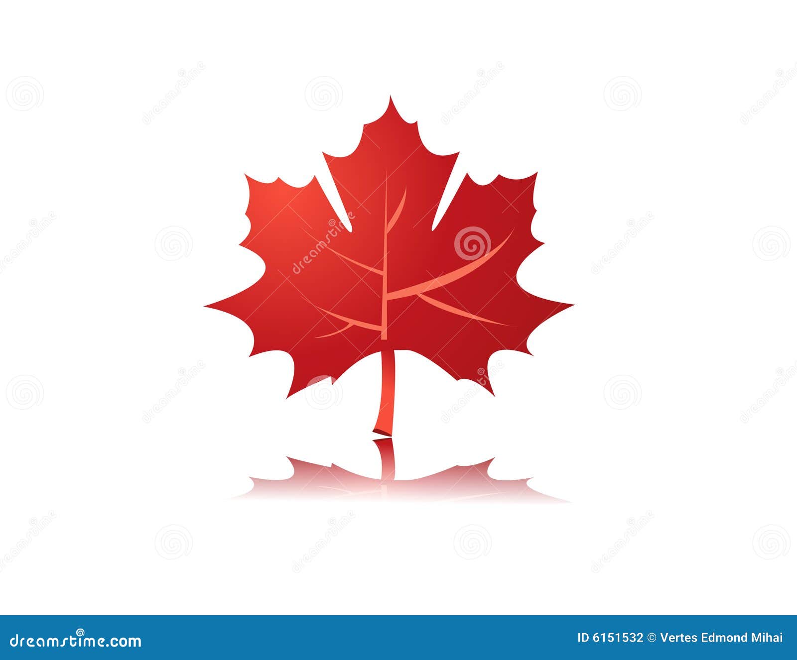 Maple leaf illustration stock vector. Illustration of autumn - 6151532