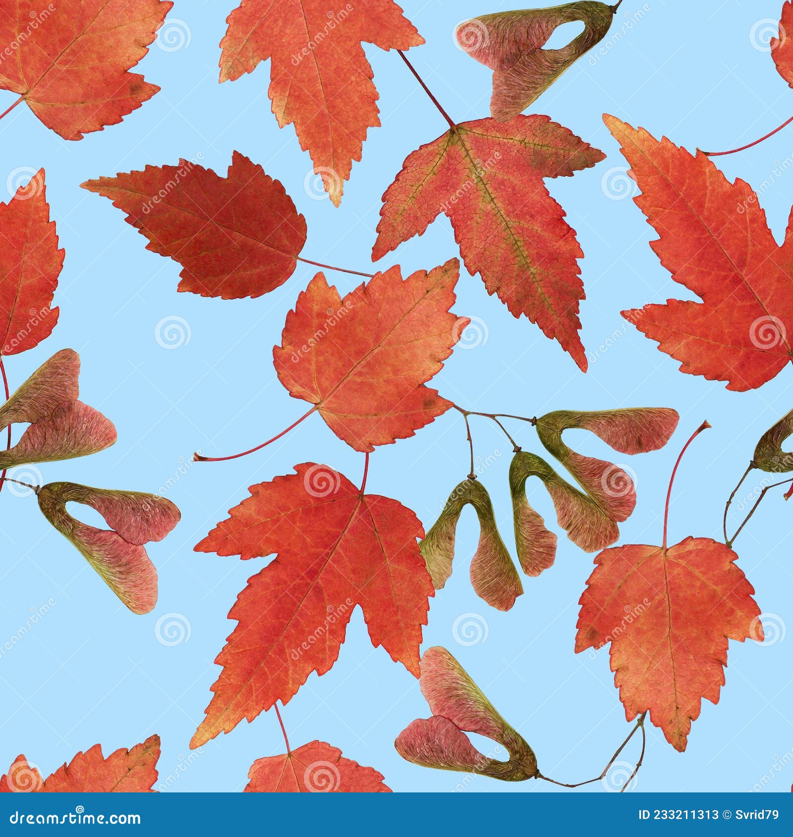 Maple Leaf. Illustration, Texture of Flowers. Seamless Pattern for ...