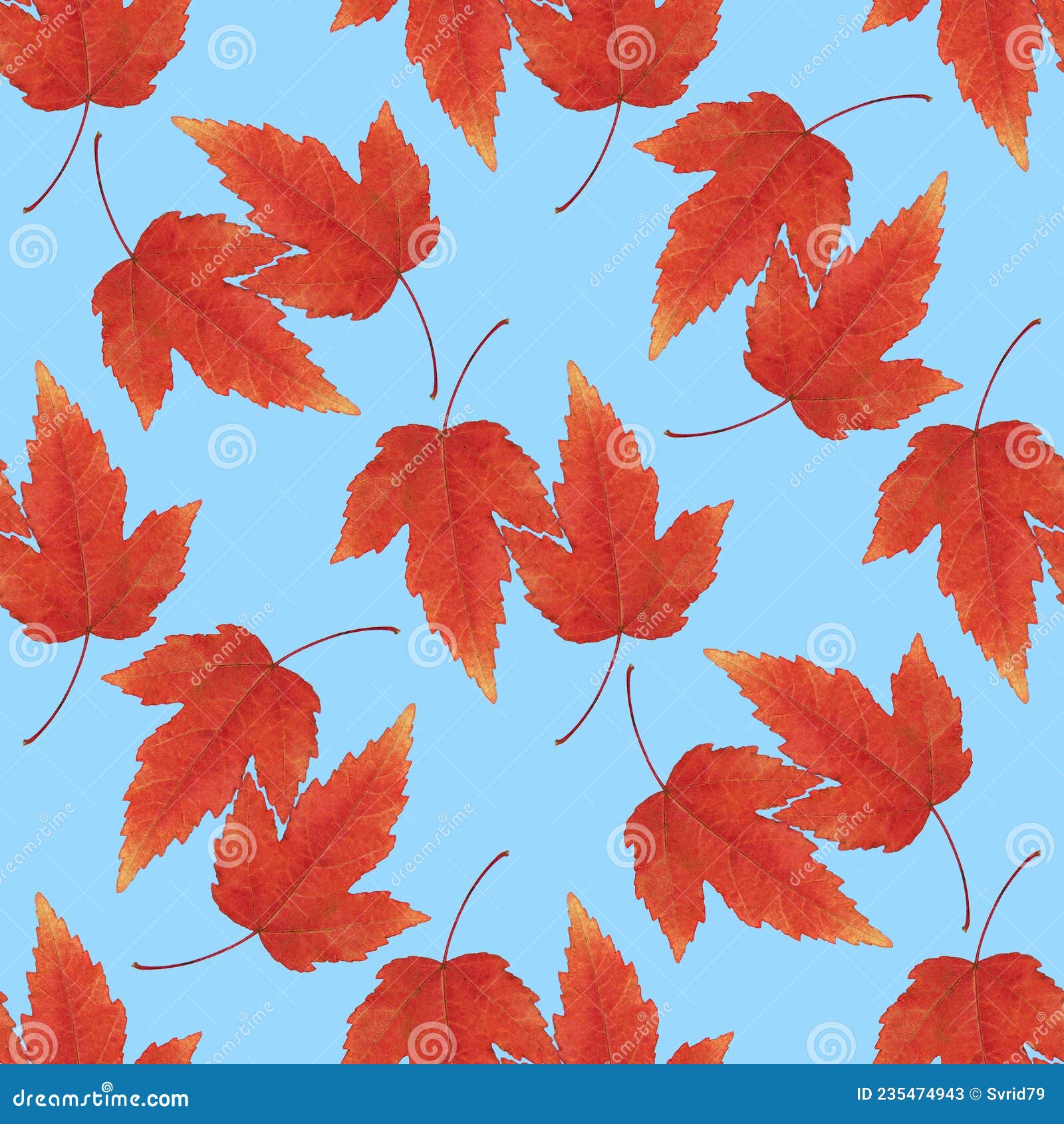 Maple Leaf. Illustration, Texture of Flowers. Seamless Pattern for ...
