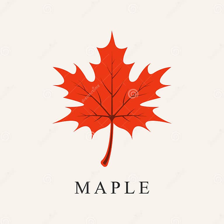 Maple Leaf Line Art Logo Design Vector Stock Illustration ...