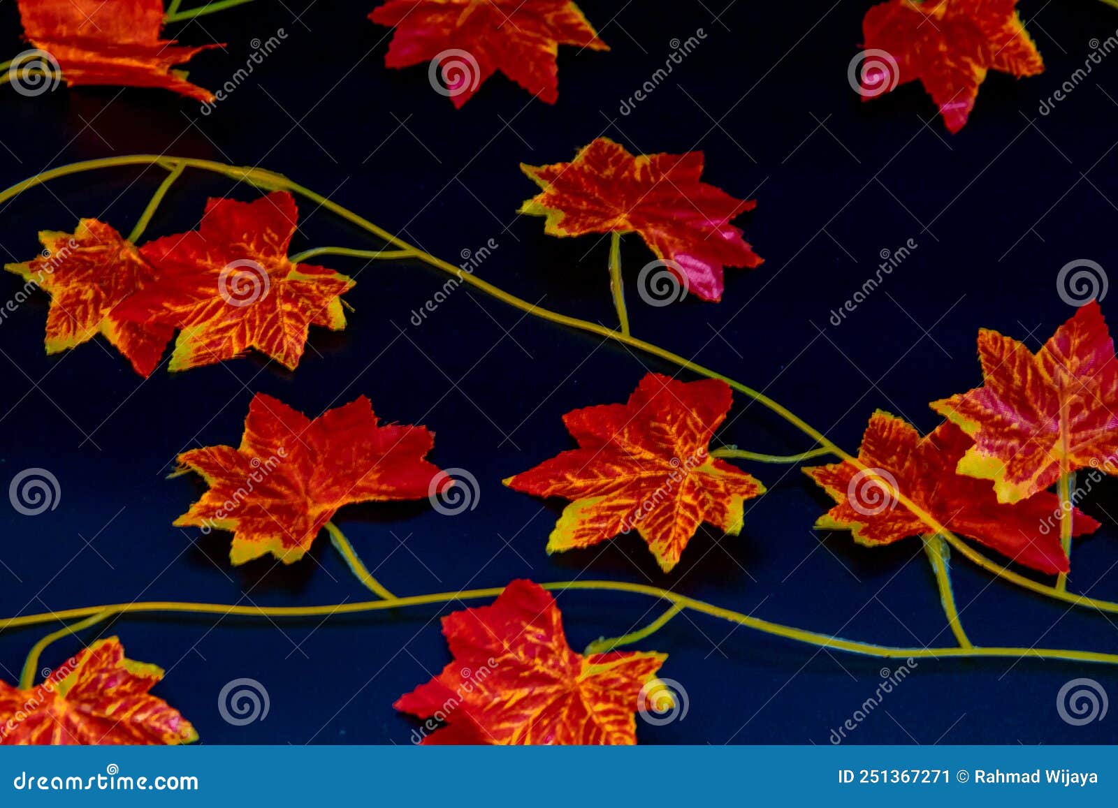 Maple Leaf Made of Plastic Material on a Black Background Stock Image ...