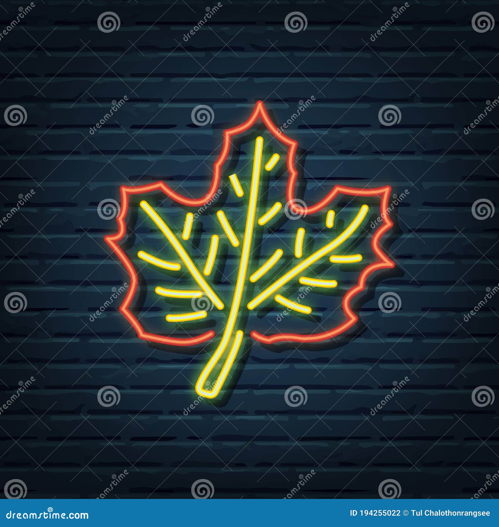 Maple leaf neon sign stock vector. Illustration of plant - 194255022