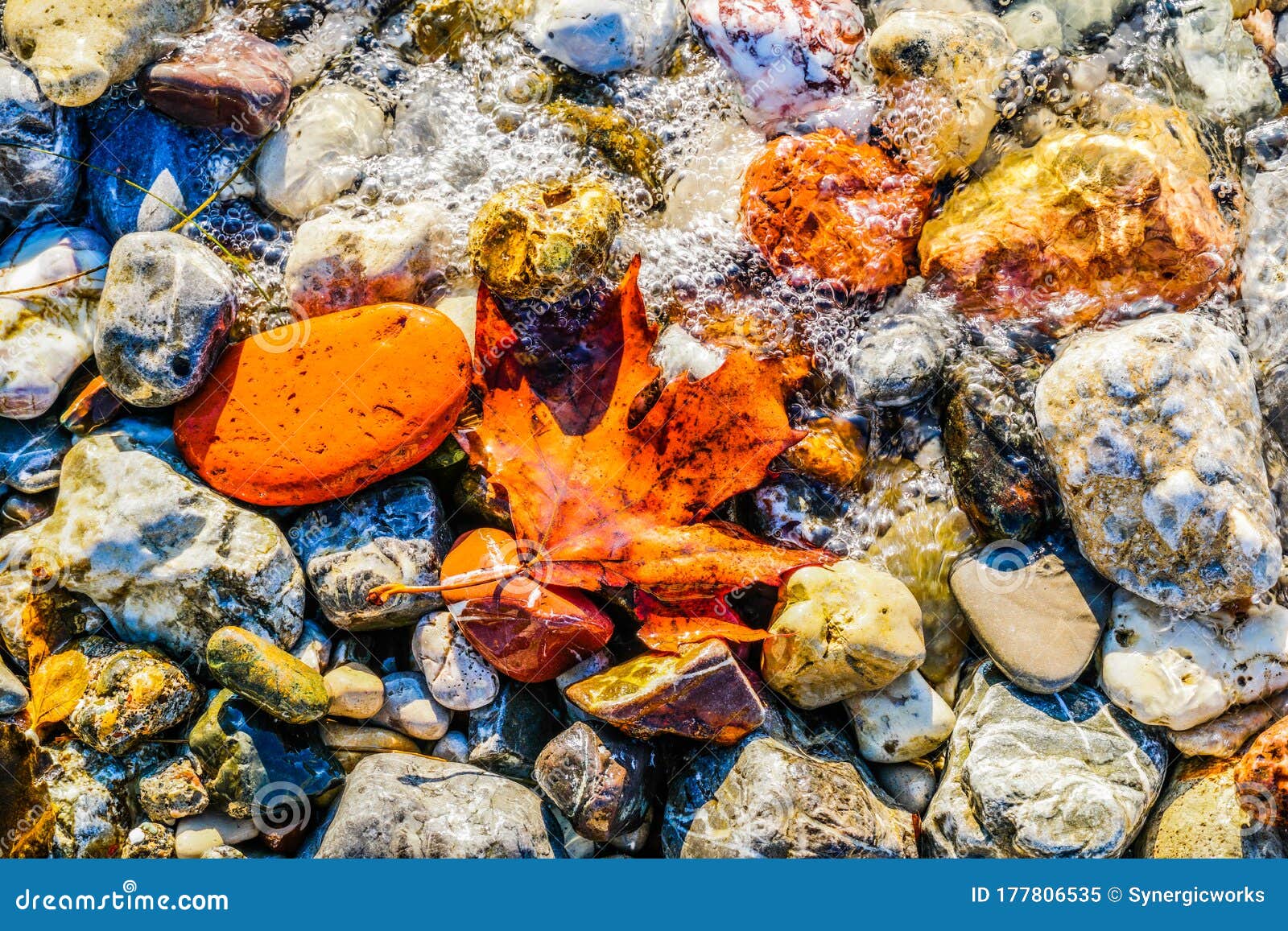 Maple Leaf Over Pebbles on the Beach Stock Image - Image of abstract ...