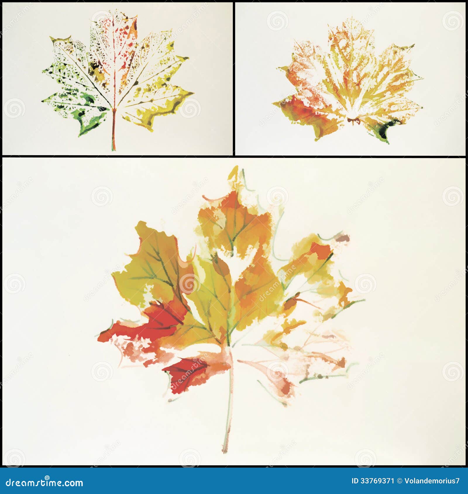 Maple Leaf Painted in Watercolor Stock Illustration - Illustration of ...