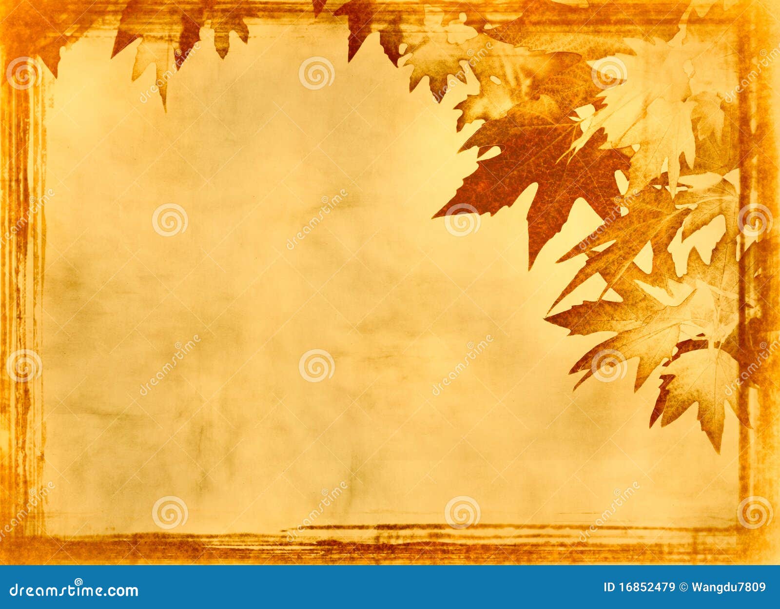 Maple Leaf Photo Frame stock image. Image of brown, black - 16852479