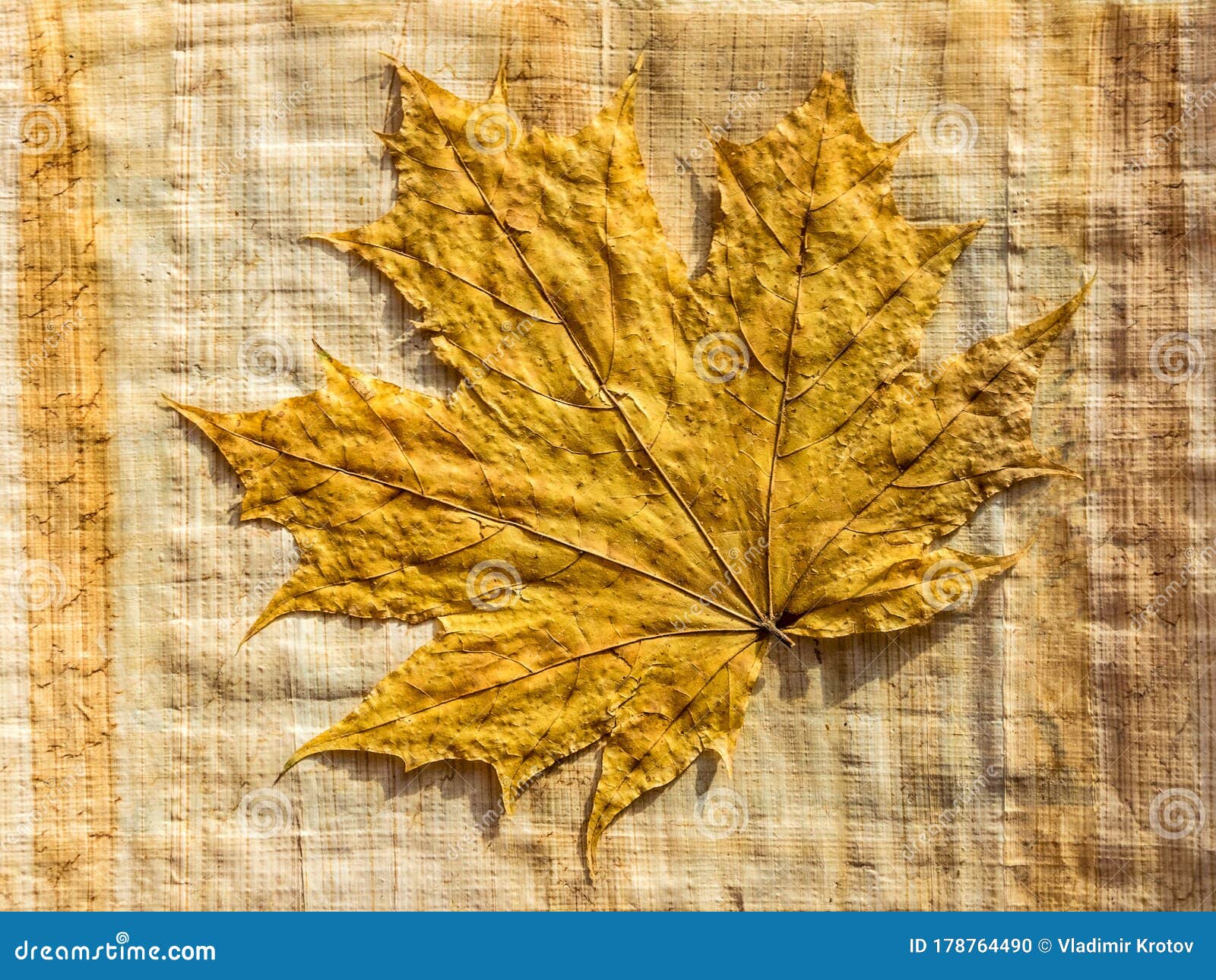 Old Piece Of Papyrus Texture Stock Photography | CartoonDealer.com ...