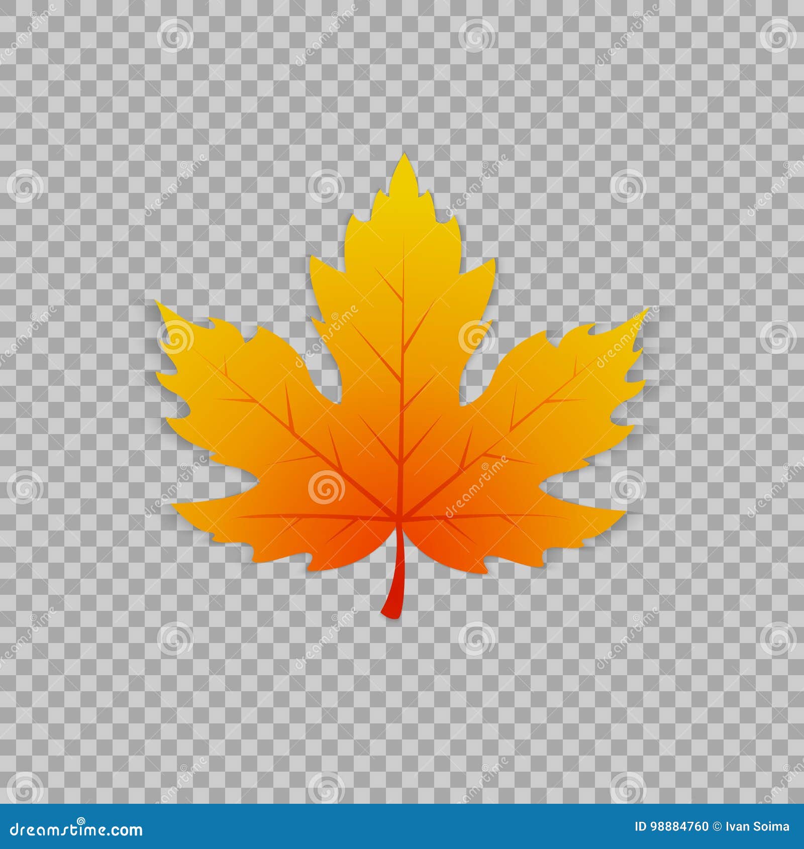 Maple Leaf In A Realistic Style On Transparent Background, Object ...