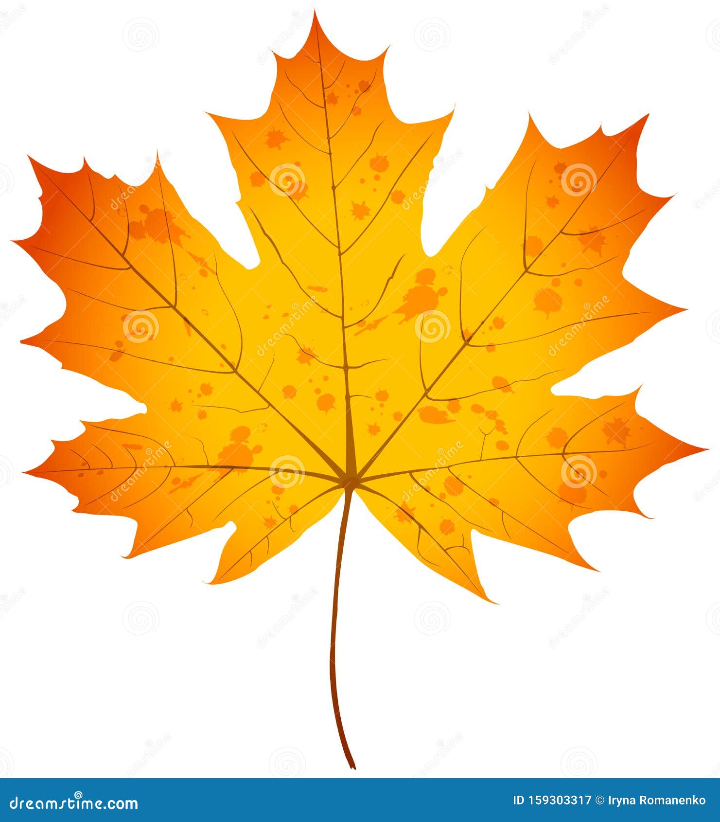 Maple Leaf. Realistic Vector Illustration Isolated on White Background ...