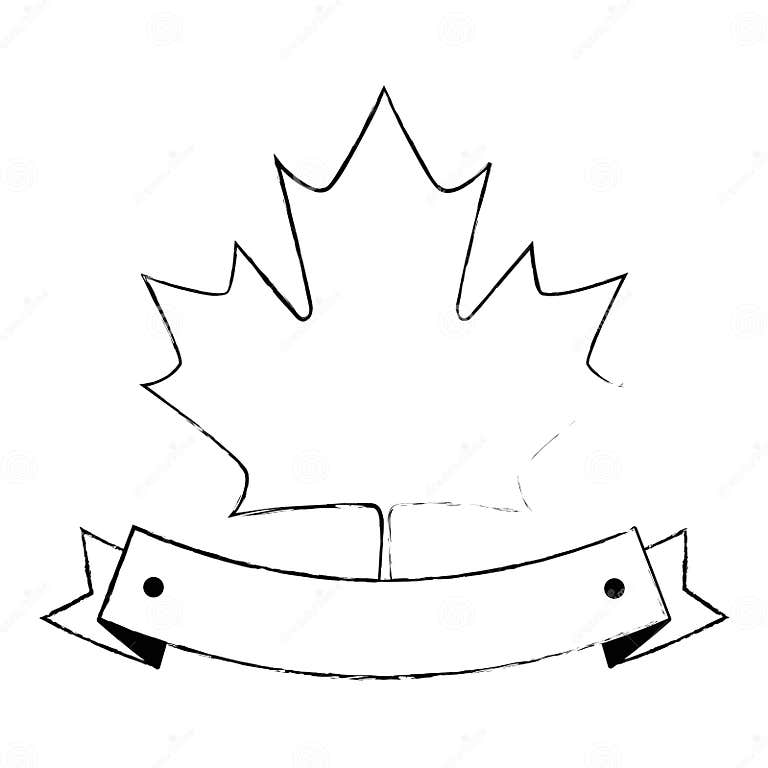 Maple Leaf with Ribbon Frame Stock Illustration - Illustration of ...