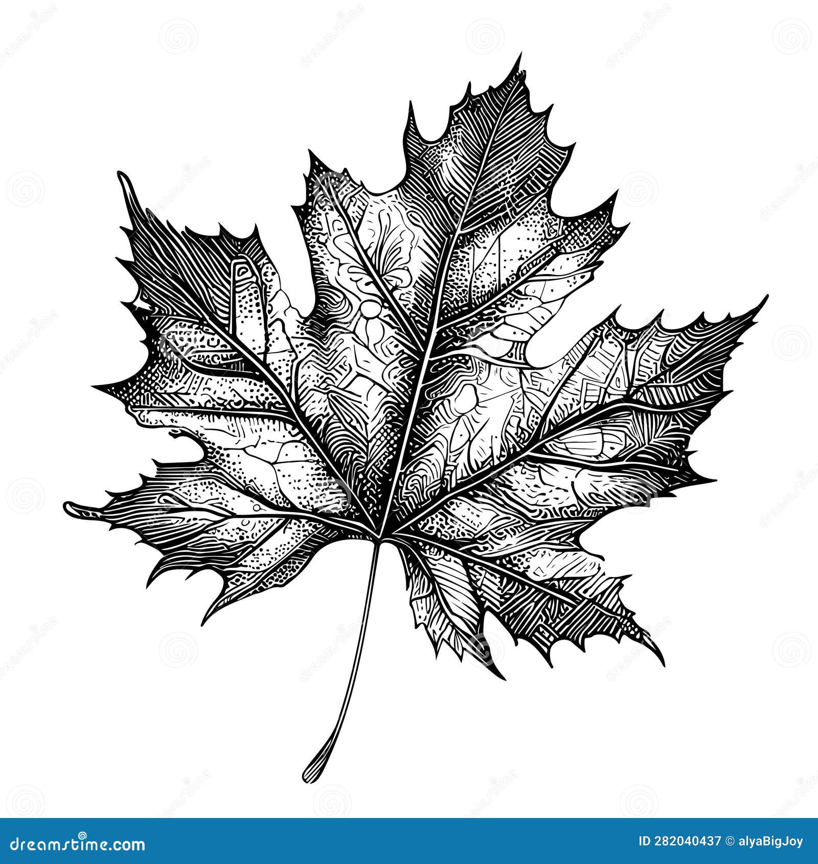 Maple Leaf Sketch Hand Drawn in Doodle Style Vector Illustration Stock ...
