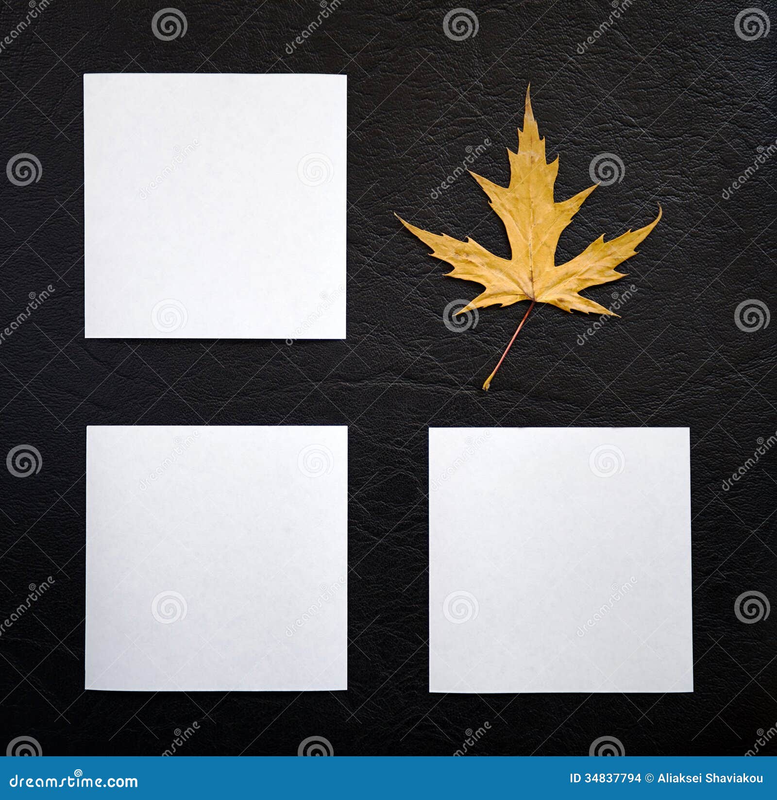 Maple Leaf and Three Sheets of Paper Stock Photo - Image of carved ...