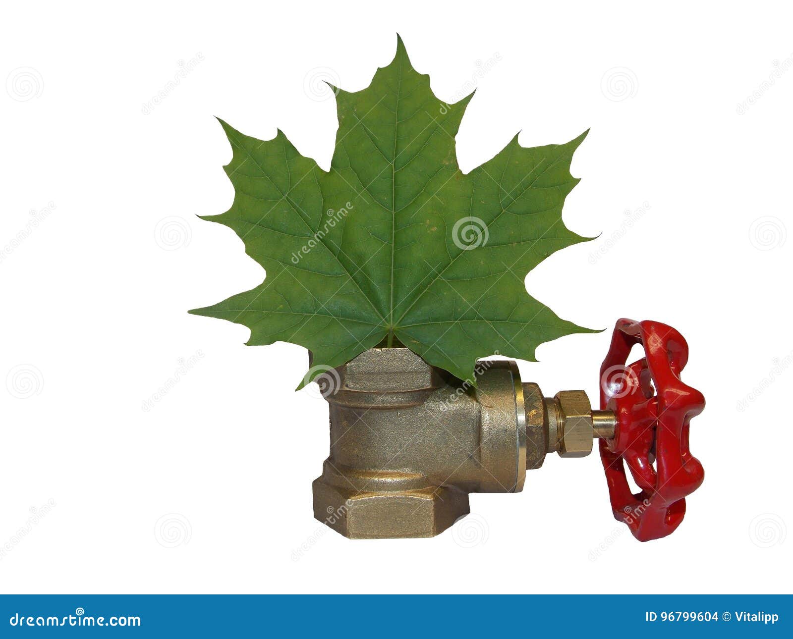 Maple leaf and the valve stock photo. Image of card, purity - 96799604