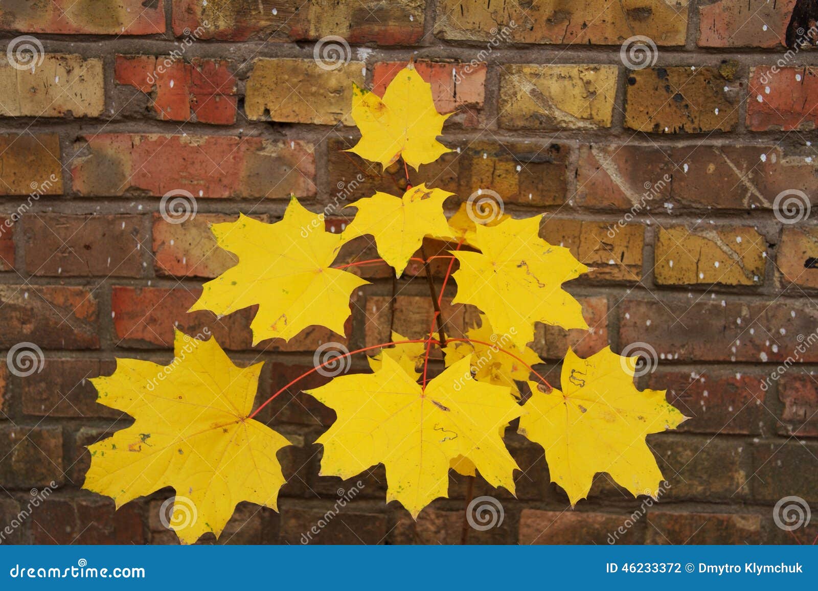 Tryangel Shape Stock Photos - Free & Royalty-Free Stock Photos from ...