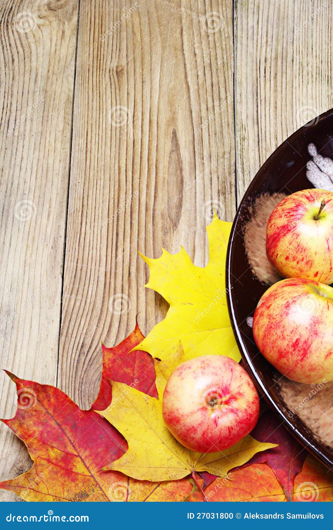Maple leaves with apples stock photo. Image of healthy - 27031800