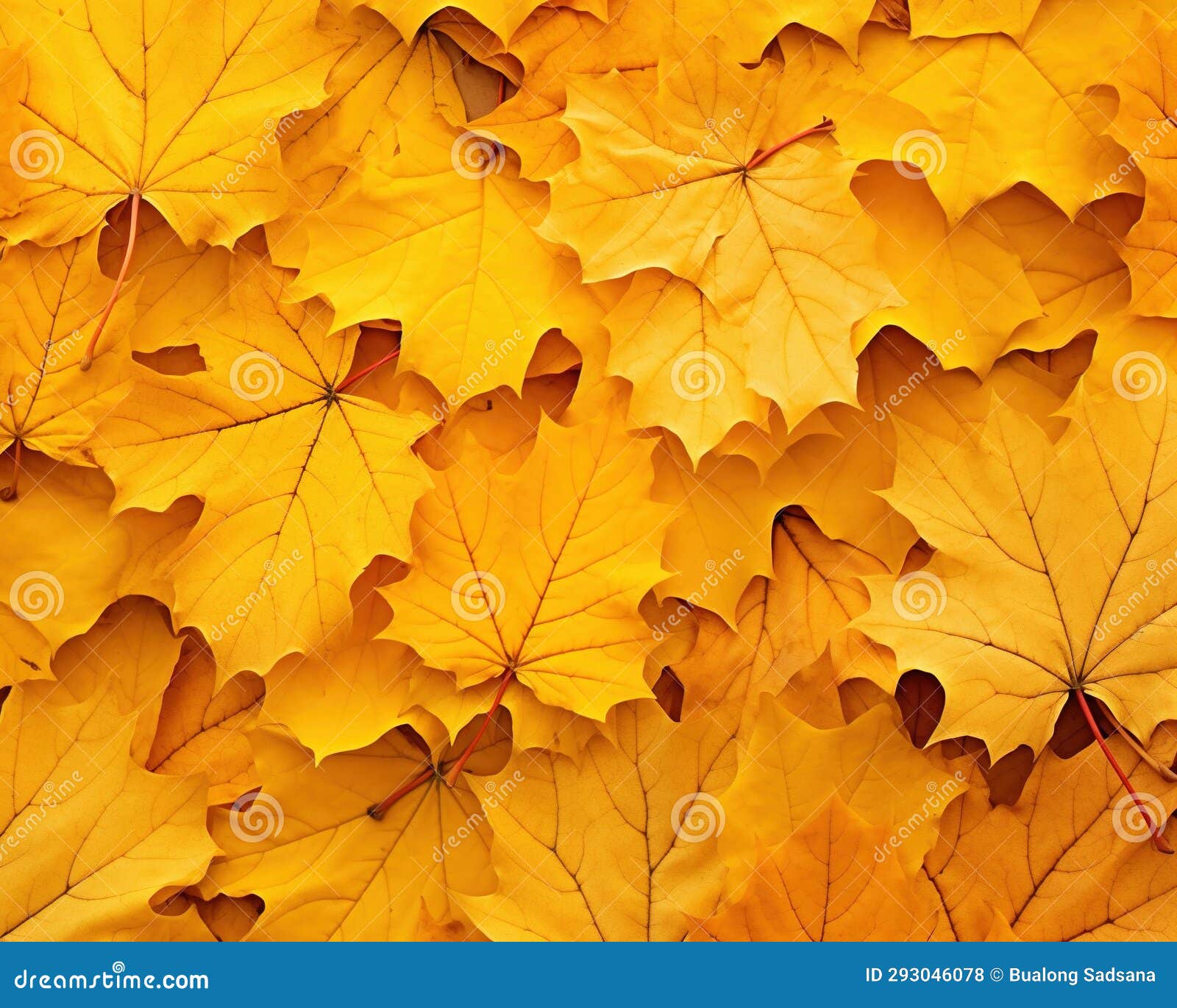 The Maple Leaves Background Texture is a Bitmap. Stock Illustration ...