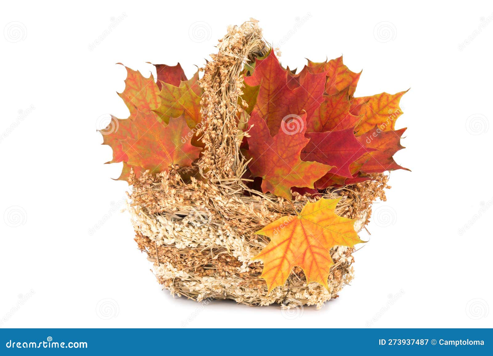 Maple leaves in a basket stock image. Image of detail - 273937487