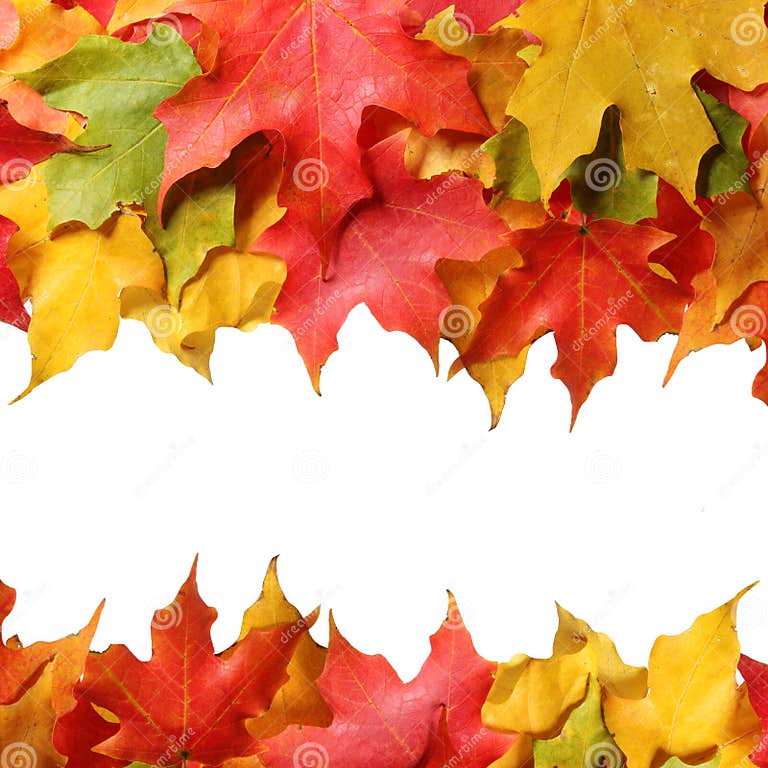 Maple Leaves Border with Space for Text. Colored Autumn Leafs Isolated ...