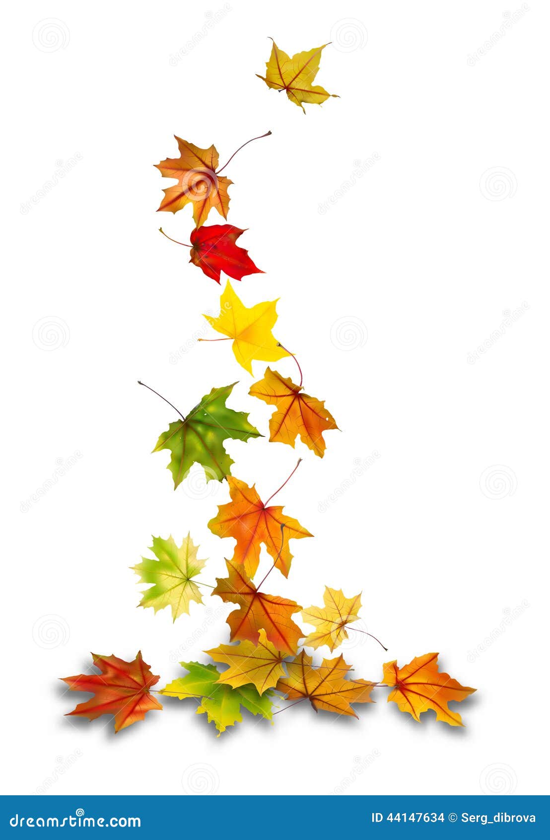 Maple leaves falling stock vector. Illustration of season - 44147634