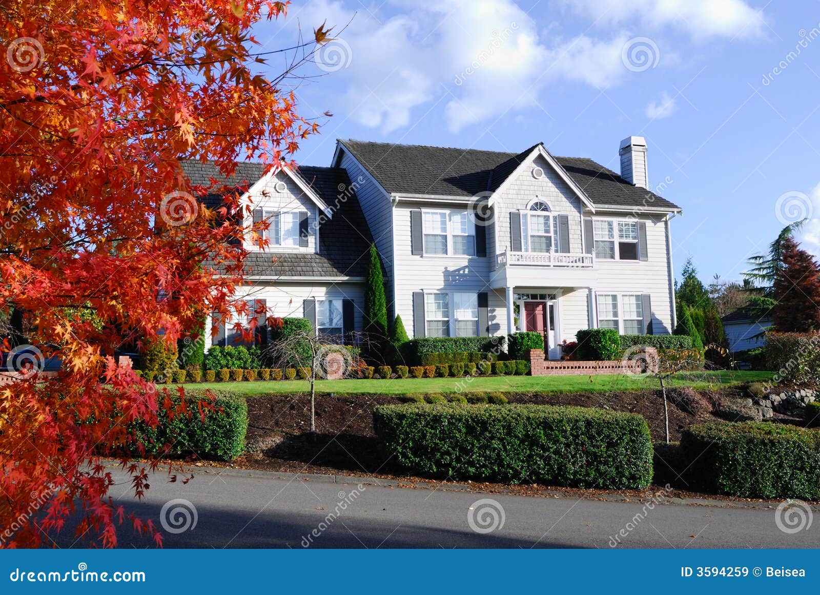 Maple leaves in front yard stock image. Image of estate - 3594259