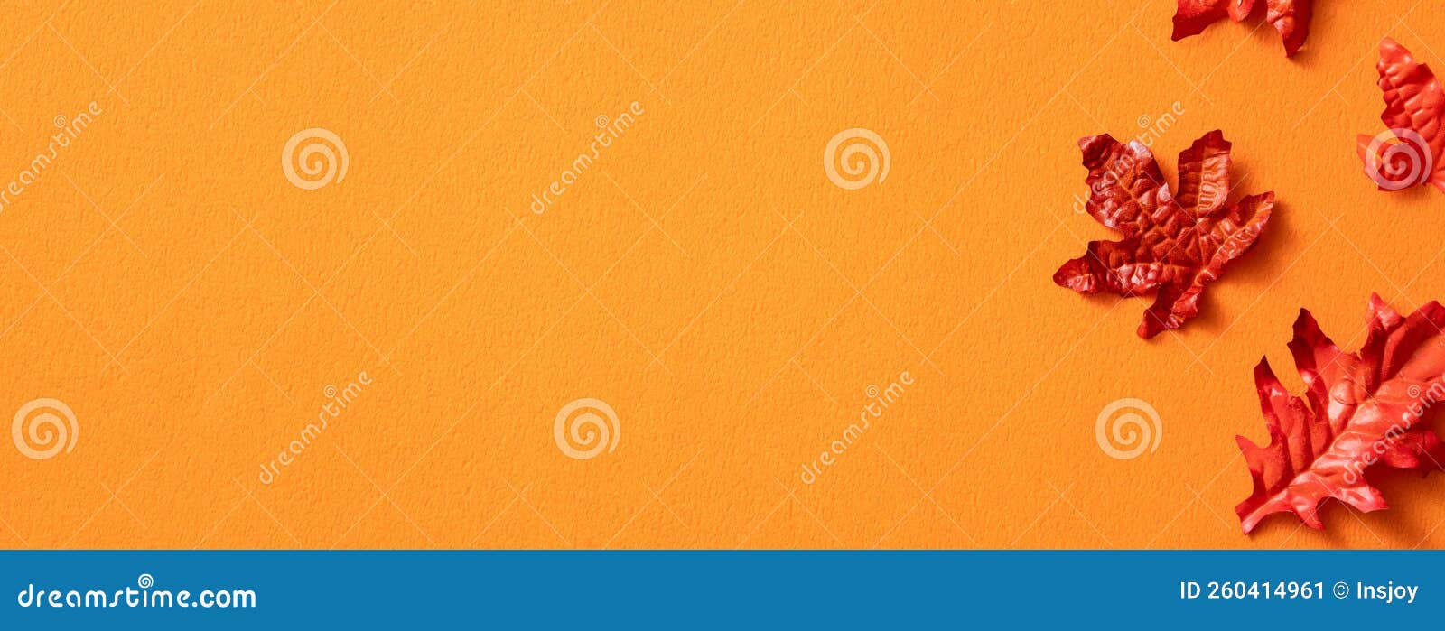 Maple Leaves Isolated on Orange Table Background for Design Elements in ...