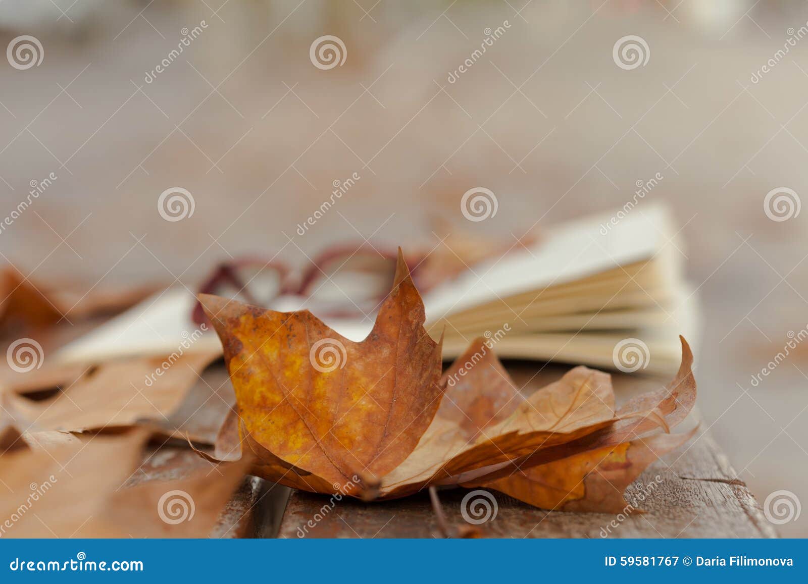 Maple Leaves and Open Book. Stock Image - Image of fall, brown: 59581767