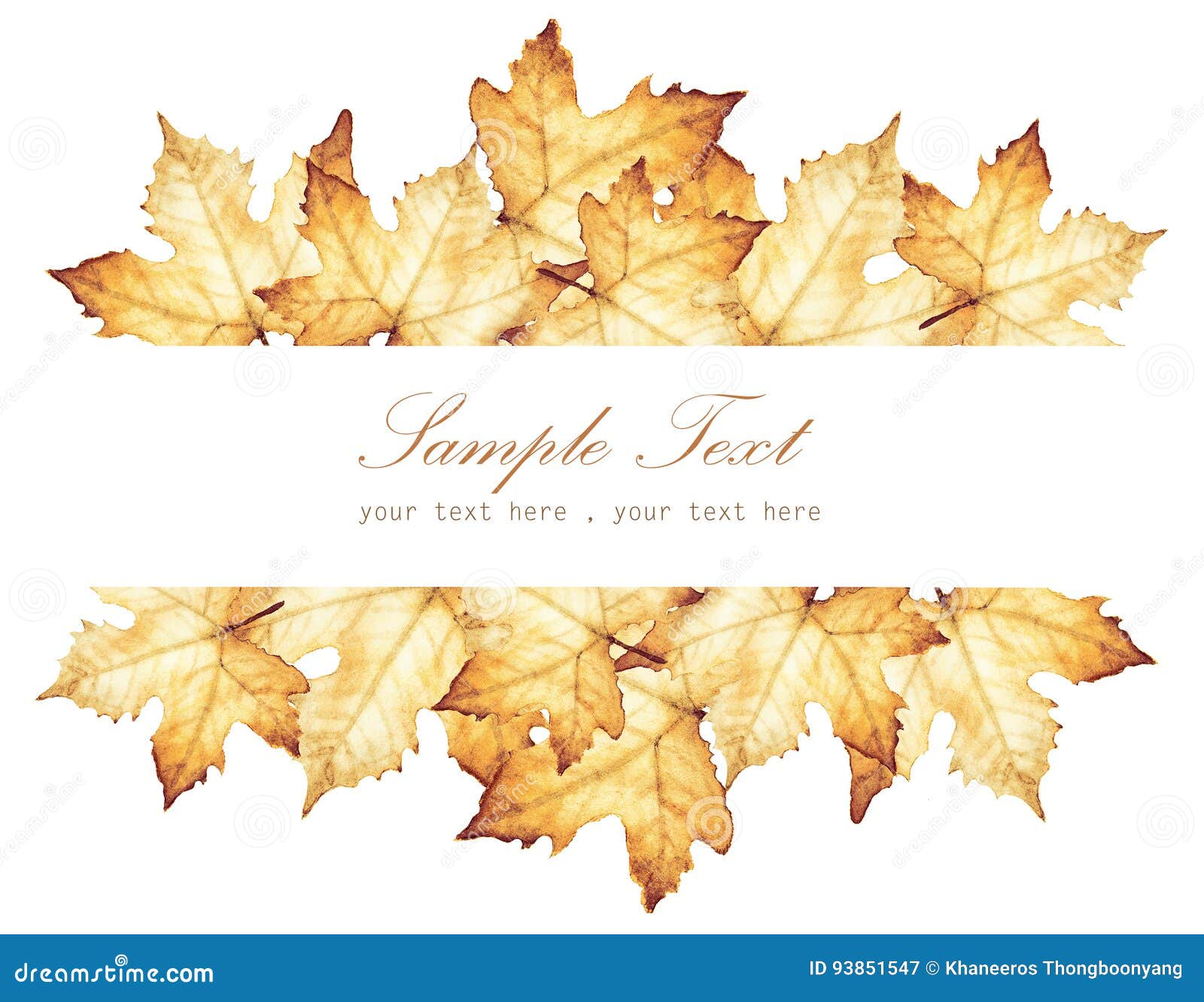 Maple Leaves with Place for Text Stock Illustration - Illustration of ...