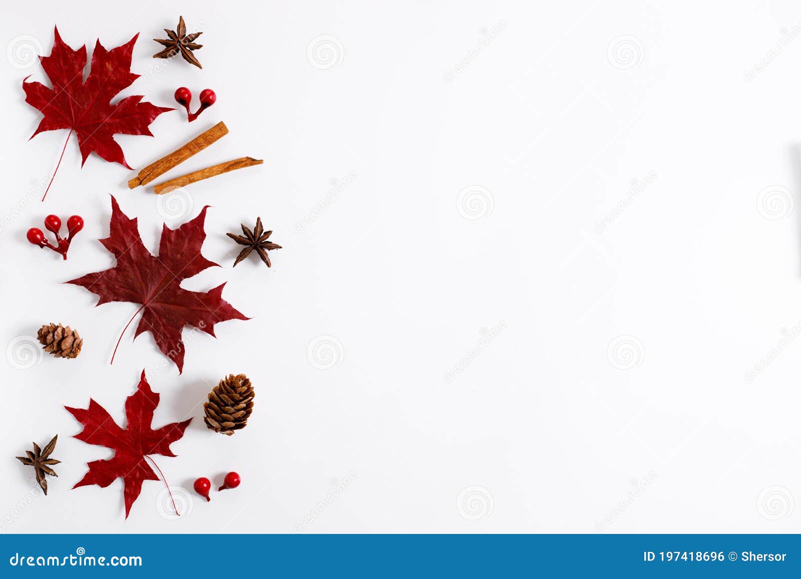 Maple Leaves in Red Color on White Background Stock Photo - Image of ...