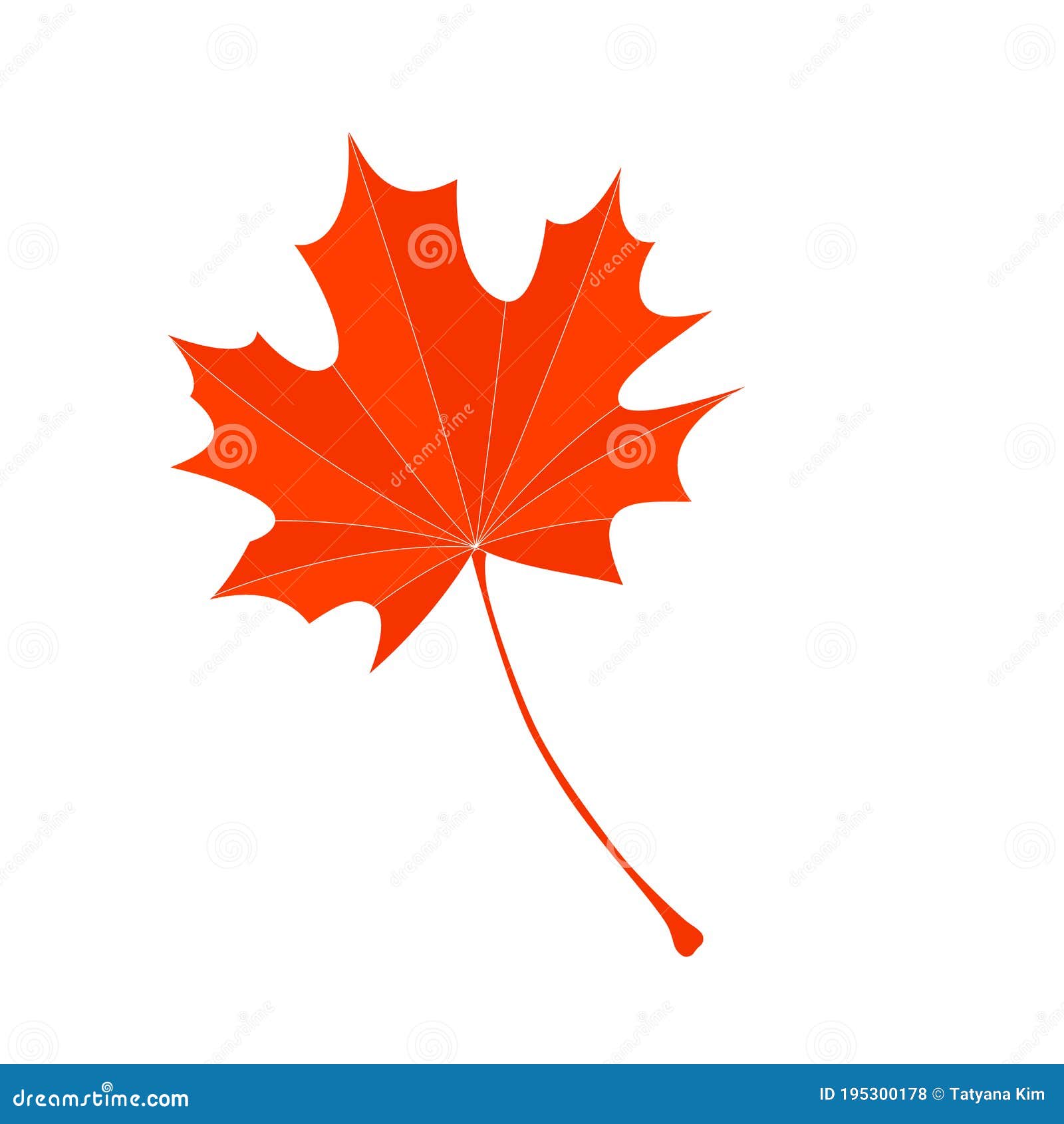 Maple Leaves. Red and Yellow Autumn Maple Leaves on Transparent ...