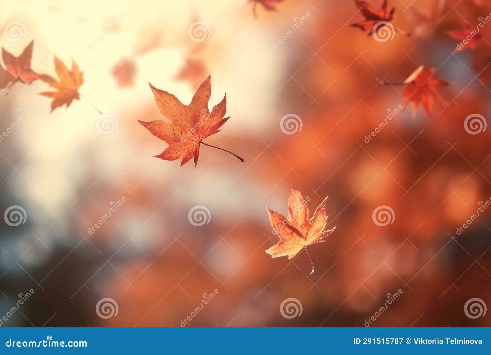 Maple Leaves are Spinning and Falling from the Trees Stock Image ...