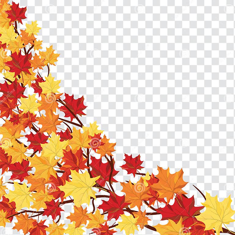 Maple Leaves on Transparency Grid Stock Vector - Illustration of copy ...