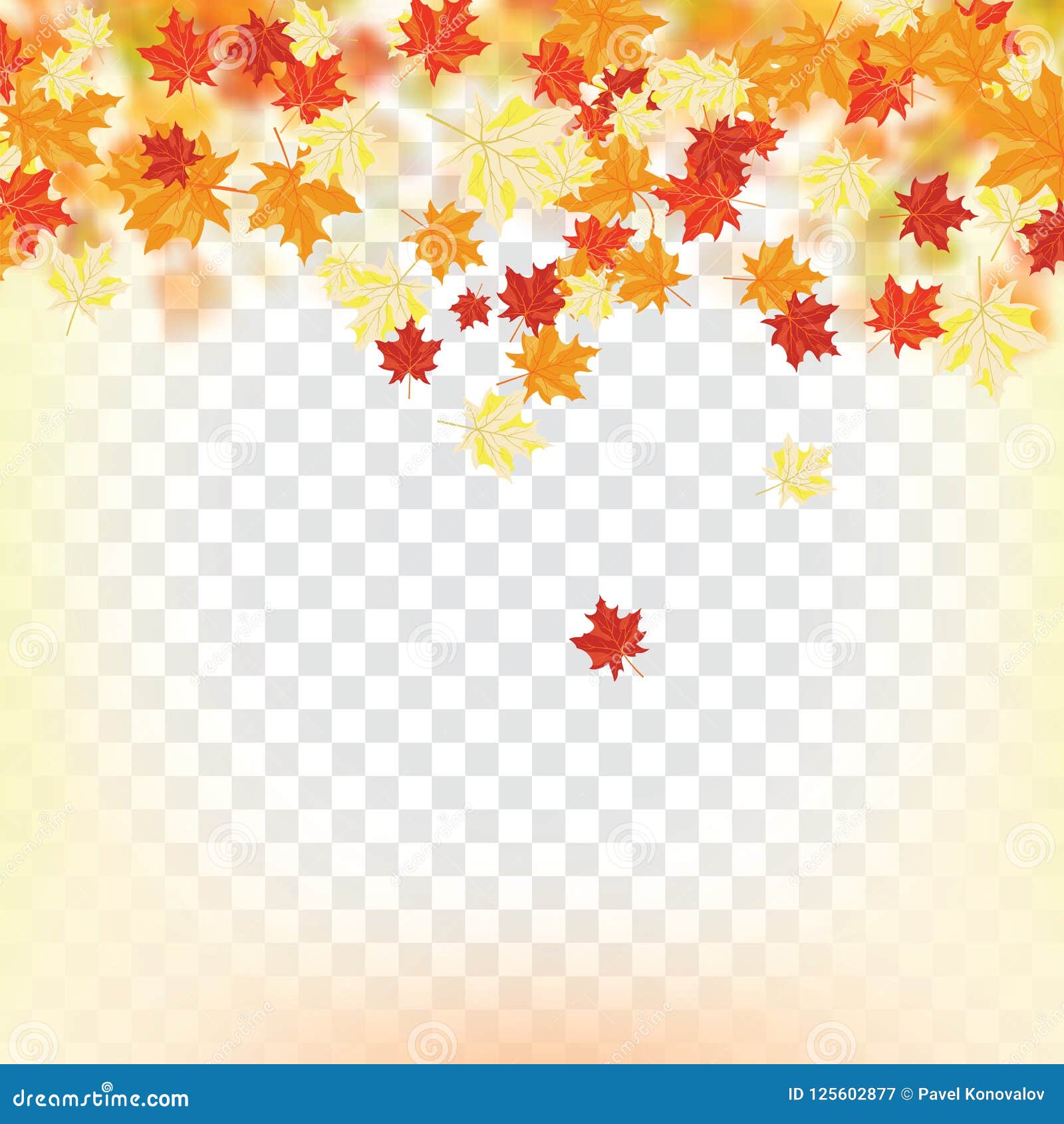 Maple Leaves on Transparency Grid Stock Vector - Illustration of copy ...